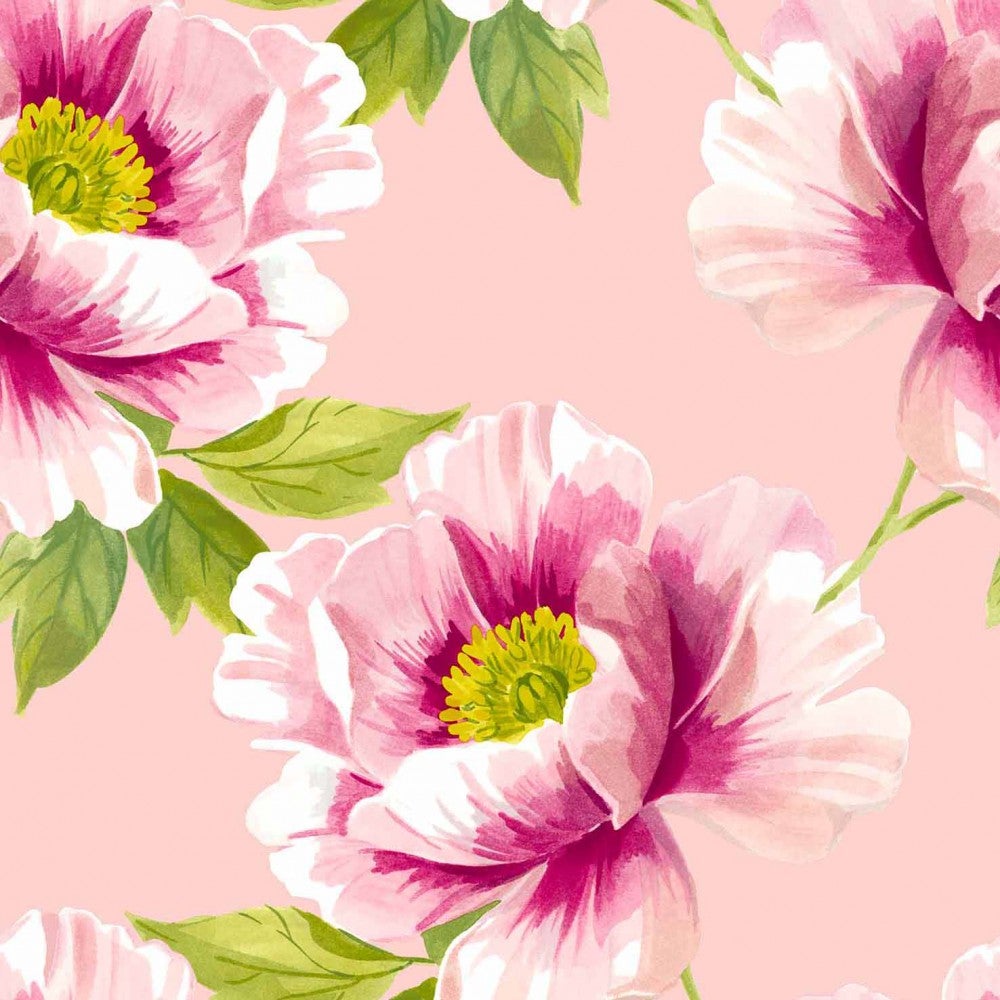 Intrade - Villa Rosa