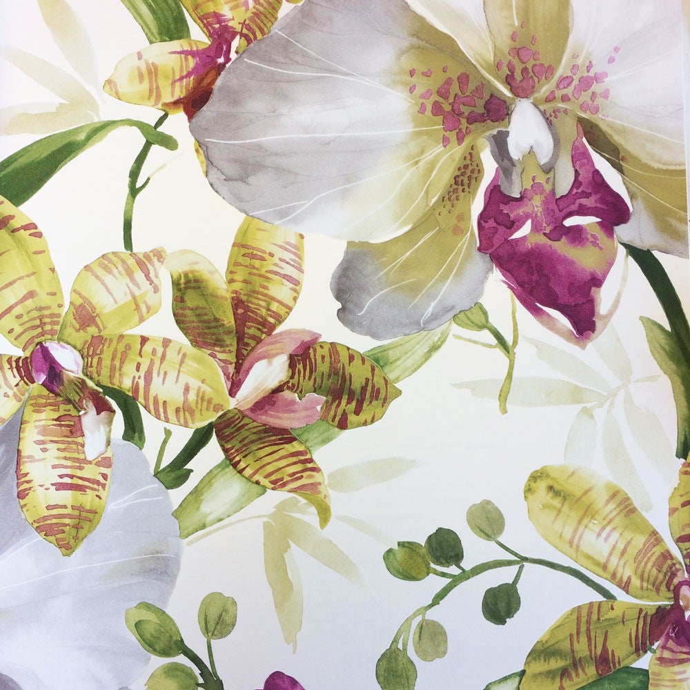 Intrade - Villa Rosa